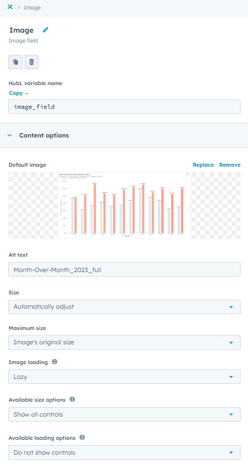 The Basics of HubSpot Custom Modules